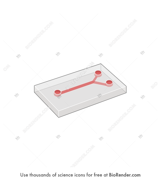 Free Microfluidic device (Y channel) Icons, Symbols & Images | BioRender