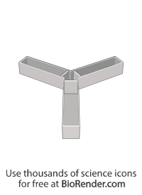Free Y maze (3D) Icons, Symbols & Images | BioRender