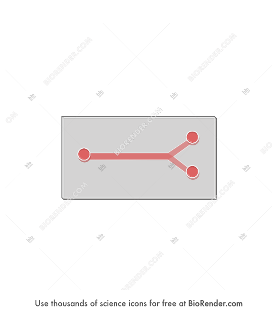 Free Microfluidic device (top, Y channel) Icons, Symbols & Images ...