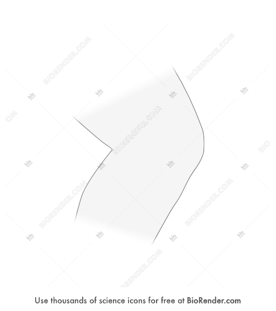 Free Knee (lateral, bent, silhouette) Icons, Symbols & Images | BioRender