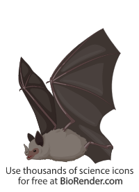 Free Seba's short-tailed bat (Carollia perspicillata) Icons, Symbols ...