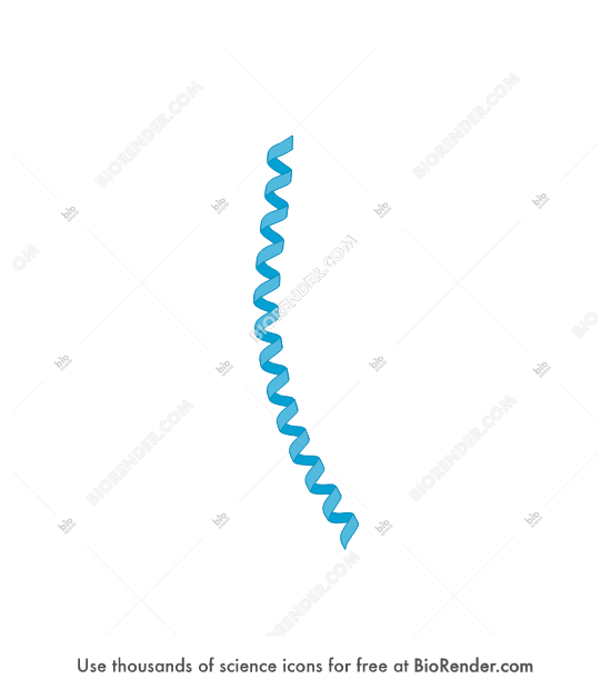 Free Alpha helix (curved) 1 Icons, Symbols & Images | BioRender