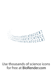 Free DNA sequencing stream Icons, Symbols & Images | BioRender