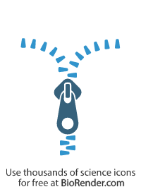 Free Zipper Icons, Symbols & Images | BioRender