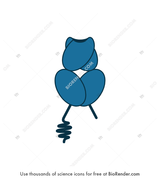 Free ImmTAC Icons, Symbols & Images | BioRender