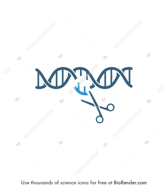 Free CRISPR Icons, Symbols & Images | BioRender