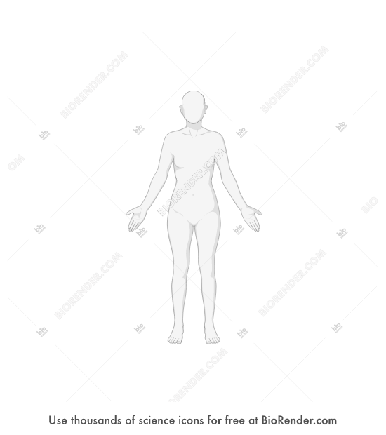 Free Adult female (anterior, no features) Icons, Symbols & Images ...