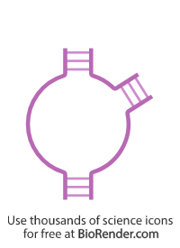 Free RNA (multiloop junction, medium, 5) Icons, Symbols & Images ...