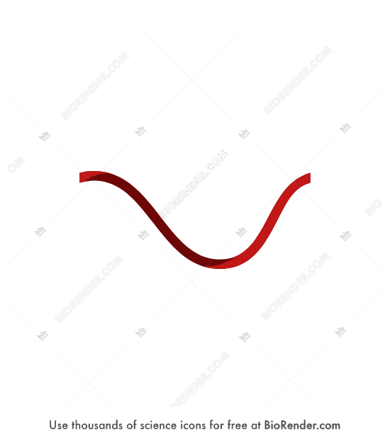 Free DNA (single strand, short, 3D) Icons, Symbols & Images | BioRender