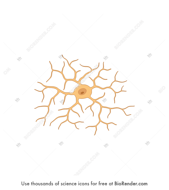 Free Microglia (resting) Icons, Symbols & Images | BioRender