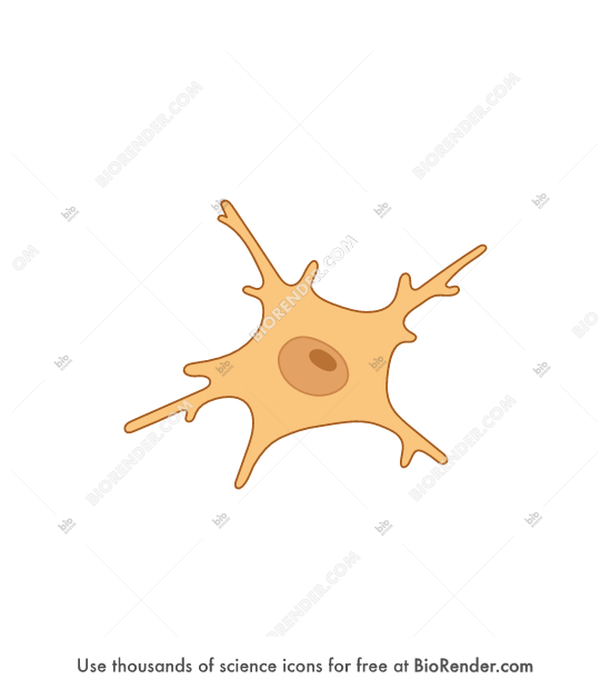 Free Microglia (active) Icons, Symbols & Images | BioRender