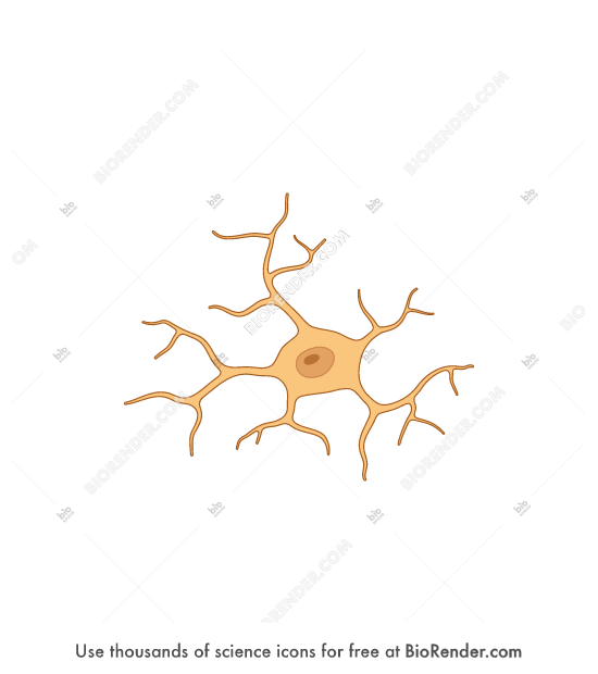 Free Microglia Icons, Symbols & Images | BioRender