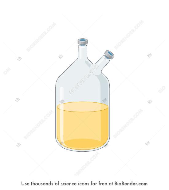 Free Anaerobic bottle (2-neck, 2L) Icons, Symbols & Images | BioRender