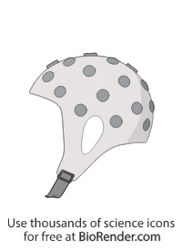 Free Electroencephalogram cap Icons, Symbols & Images | BioRender