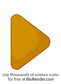 Free Generic protein (S) Icons, Symbols & Images | BioRender