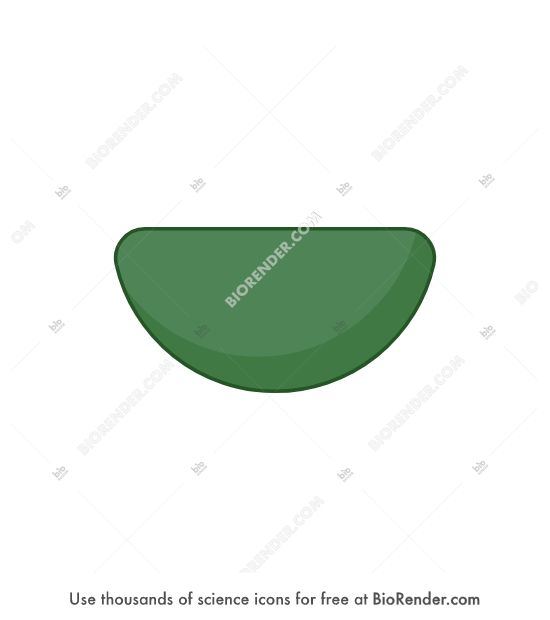 Free Generic protein (half circle) Icons, Symbols & Images | BioRender