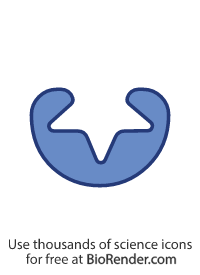 Free Receptor domain (open star-shaped) Icons, Symbols & Images | BioRender