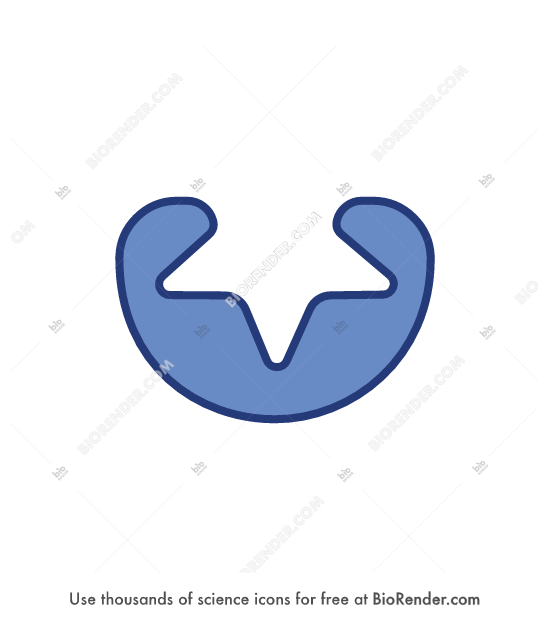 Free Receptor domain (open star-shaped) Icons, Symbols & Images | BioRender