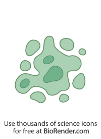 Free Lymphocyte (T-cell, apoptosis) Icons, Symbols & Images | BioRender