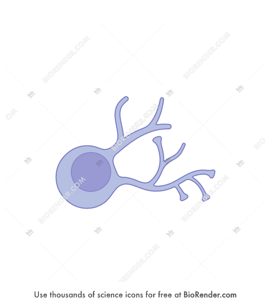 Free Lymphocyte (tissue-resident memory) Icons, Symbols & Images ...