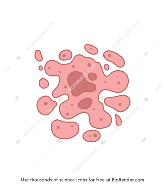Free Cancer cell (apoptosis) Icons, Symbols & Images | BioRender