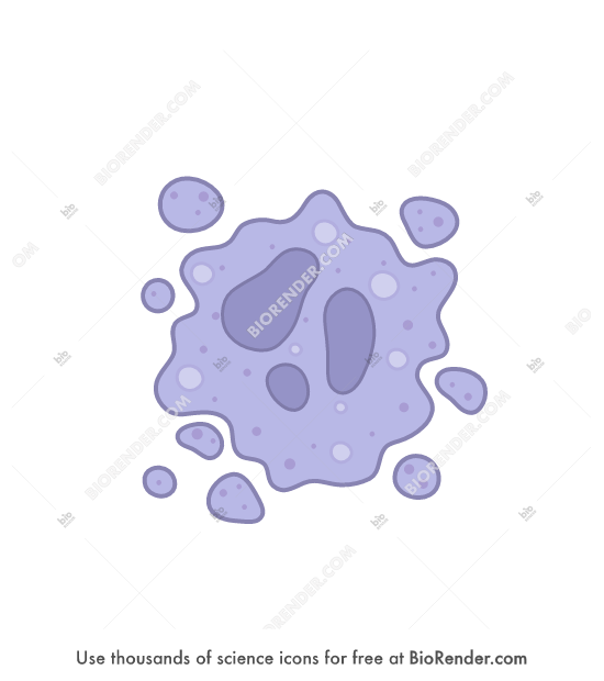 Free Macrophage (apoptosis) Icons, Symbols & Images | BioRender