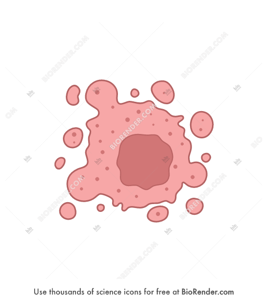 Free Cancer cell (apoptosis, blebbing) Icons, Symbols & Images | BioRender