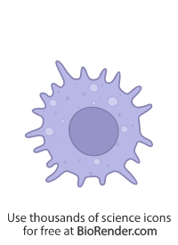 Free Macrophage (activated) Icons, Symbols & Images | BioRender