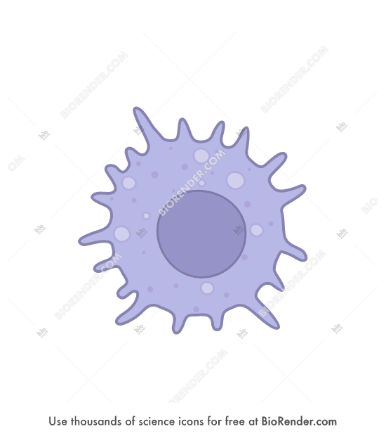 Free Macrophage (activated) Icons, Symbols & Images | BioRender