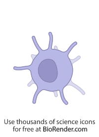 Free Dendritic cell 2 Icons, Symbols & Images | BioRender