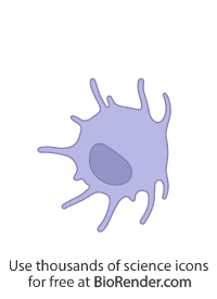 Free Dendritic cell 3 Icons, Symbols & Images | BioRender