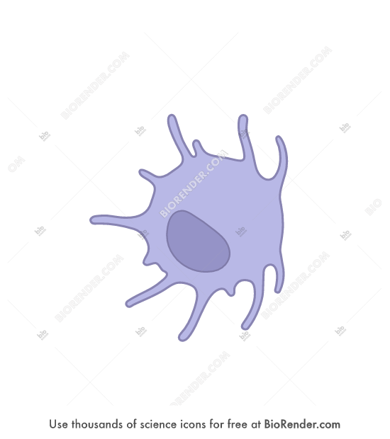 Free Dendritic cell 3 Icons, Symbols & Images | BioRender