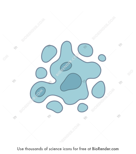 Free Lymphocyte (B-cell, apoptosis) Icons, Symbols & Images | BioRender