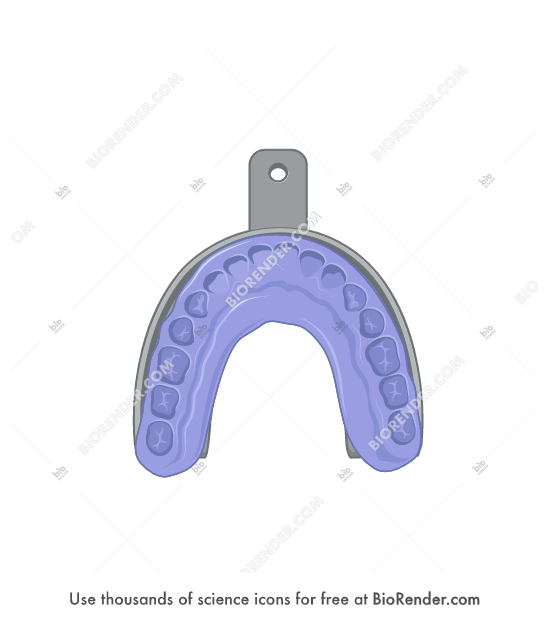 Free Dental impression (lower arch) Icons, Symbols & Images | BioRender