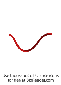 Free DNA (single strand, short, 3D) Icons, Symbols & Images | BioRender