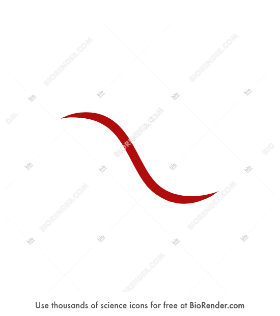 Free DNA (single turn) Icons, Symbols & Images | BioRender