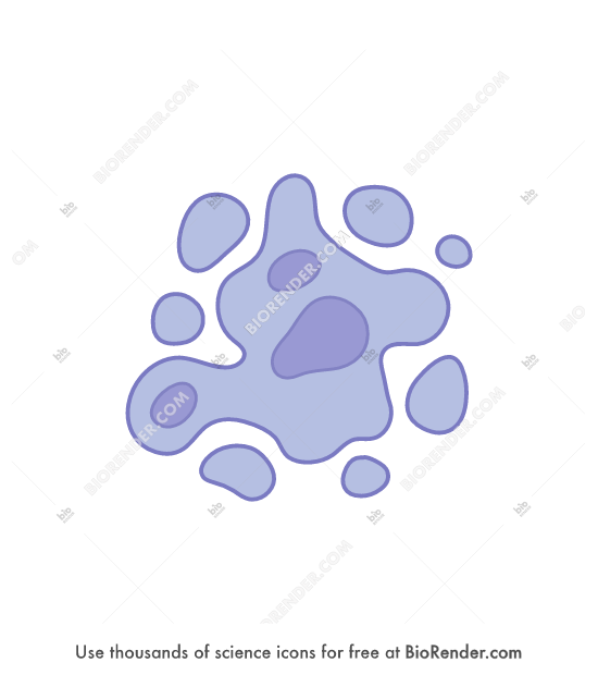 Free Lymphocyte (apoptosis) Icons, Symbols & Images | BioRender