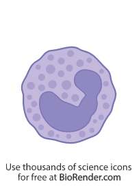 Free Basophil Icons, Symbols & Images | BioRender