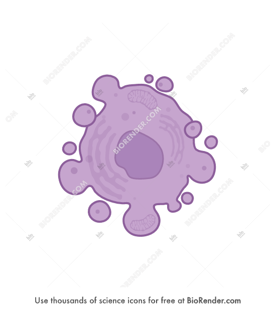 Free Cell death (apoptotic blebs) Icons, Symbols & Images | BioRender