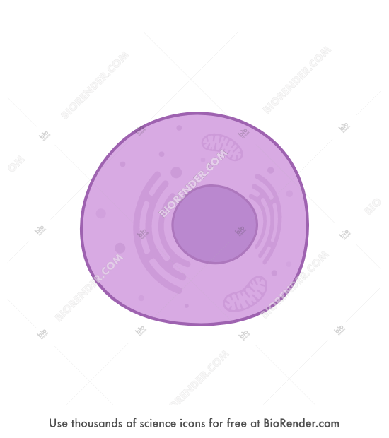 Free Cell death (healthy) Icons, Symbols & Images | BioRender