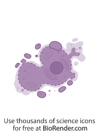 Free Cell death (pyroptosis) Icons, Symbols & Images | BioRender