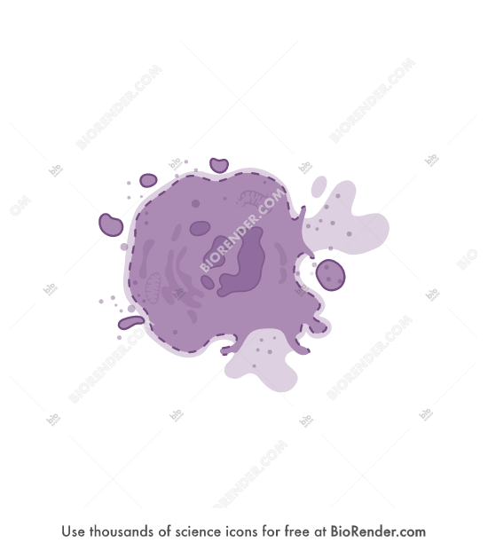 Free Cell death (necroptosis) Icons, Symbols & Images | BioRender