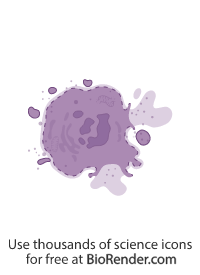 Free Cell death (necroptosis) Icons, Symbols & Images | BioRender