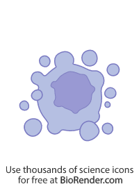 Free Immune & Blood Cells Icons, Symbols & Images | BioRender