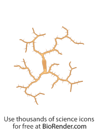Free Microglia 2 Icons, Symbols & Images | BioRender