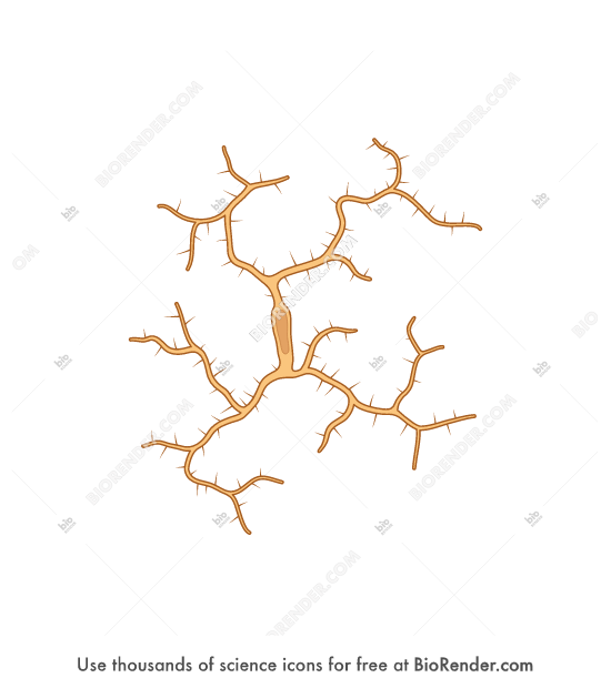 Free Microglia 2 Icons, Symbols & Images | BioRender