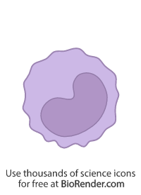 Free Monocyte Icons, Symbols & Images | BioRender