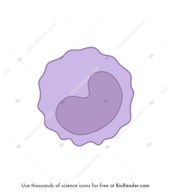 Free Monocyte Icons, Symbols & Images | BioRender