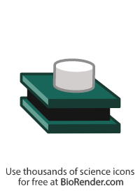 Free Rodent EEG cap Icons, Symbols & Images | BioRender