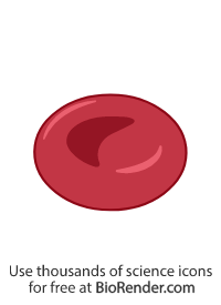 Free Red blood cell 1 Icons, Symbols & Images | BioRender